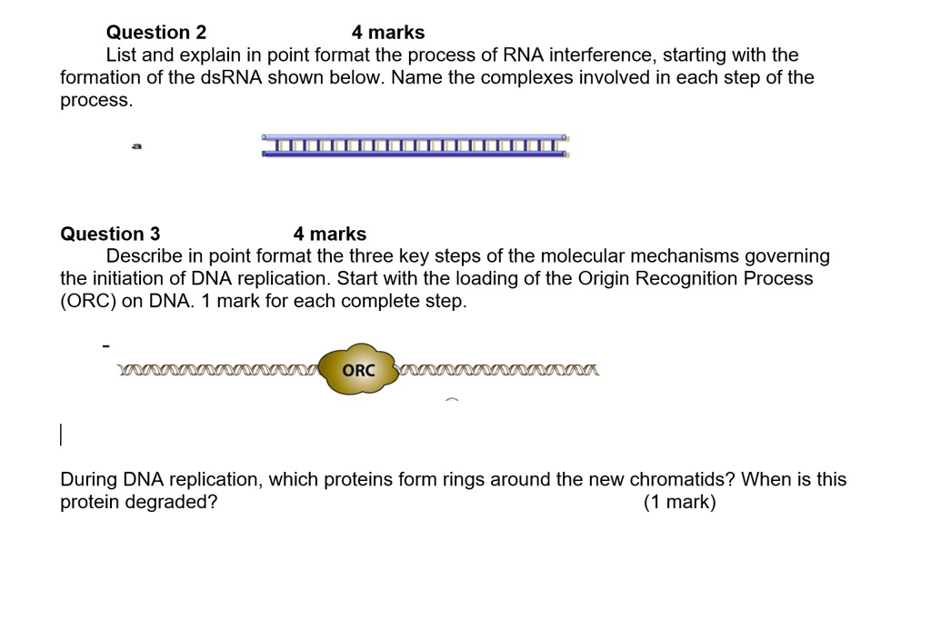 SOLVED: Question 2 marks List and explain in point format the process of RNA interference ...