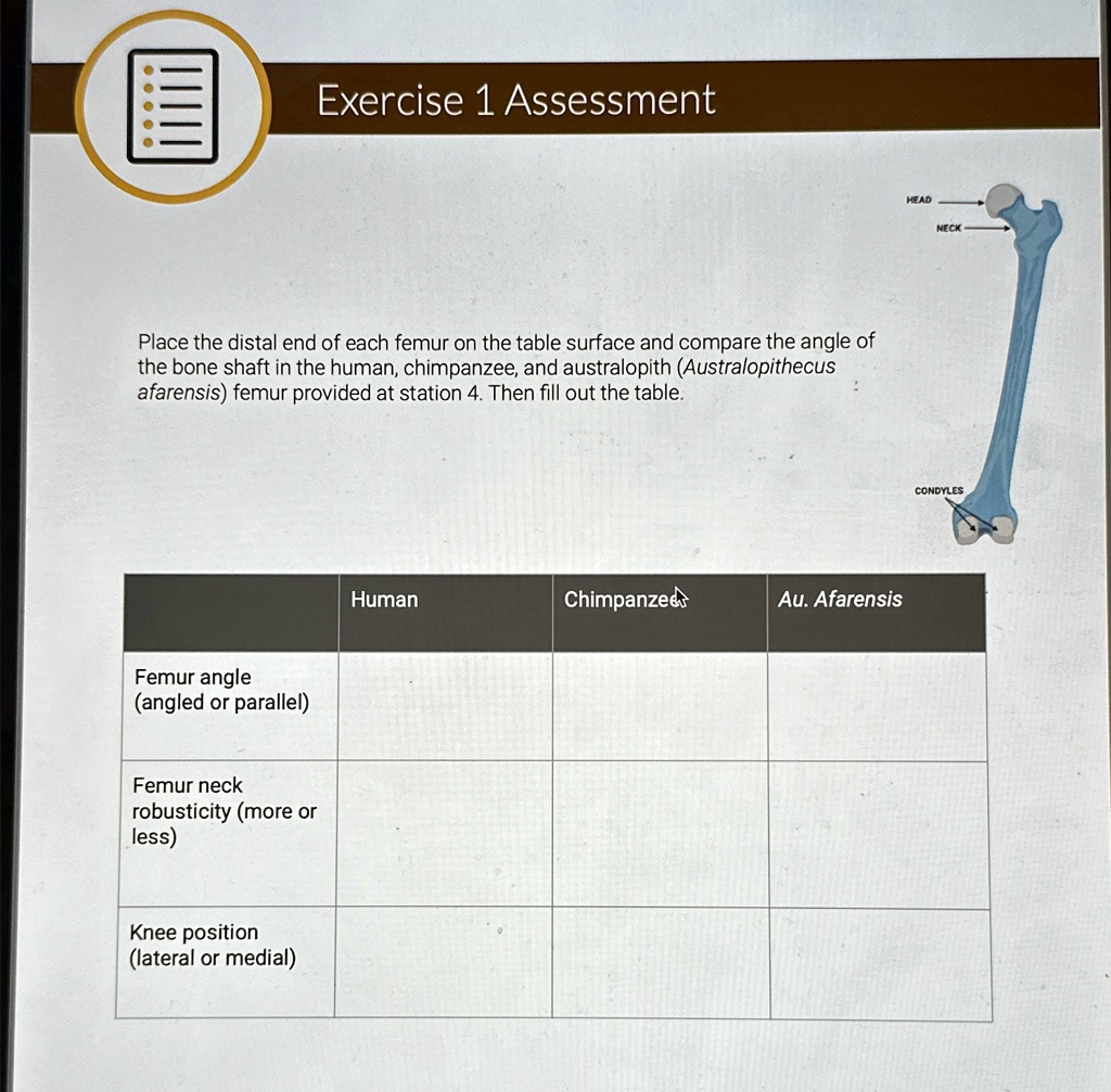 Exercise 1 Assessment Place the distal end of each femur on the table ...
