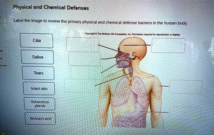 SOLVED: Label the image to review the primary physical and chemical ...