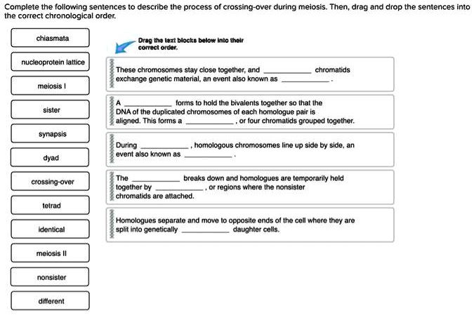 Complete the following sentences to describe the process of...