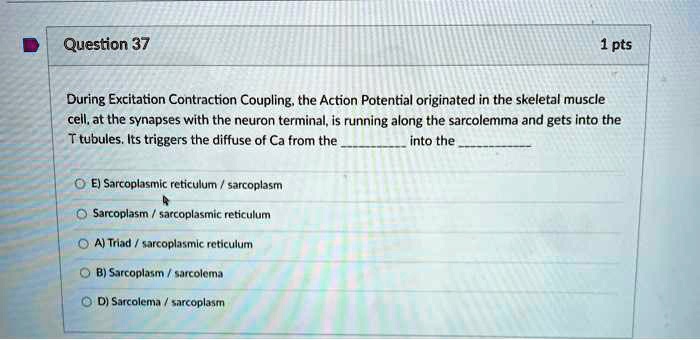 SOLVED: During Excitation Contraction Coupling, the Action Potential originated in the skeletal ...
