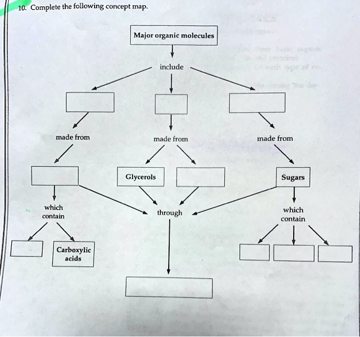 SOLVED: Complete the following concept map: Major organic molecules ...