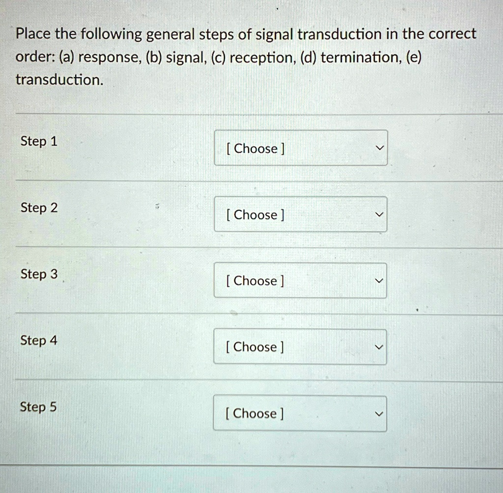 Place the following general steps of signal transduction in the correct ...