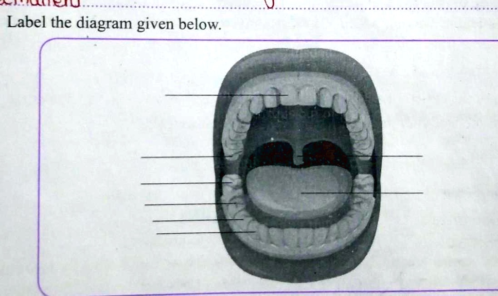 SOLVED: Label the diagram given below. Pde LUCI Label the diagram given ... SOLVED: Label the diagram given below. Pde LUCI Label the diagram given ...