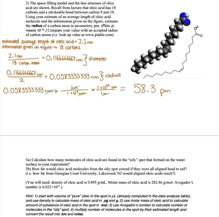 the snict filling model and the line structure of oleie acid shown ...