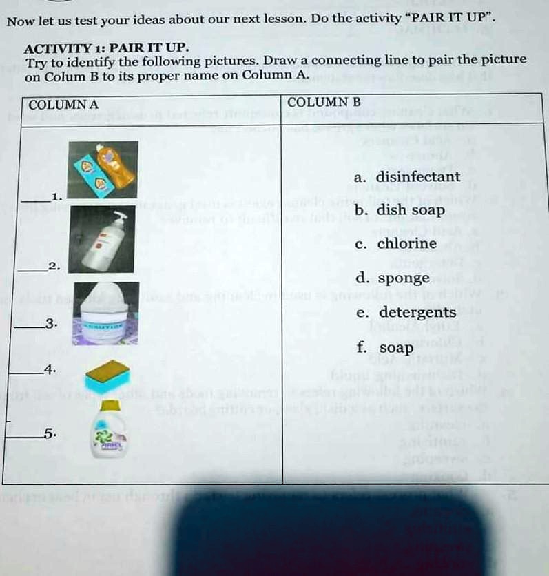 Now let us test your ideas about our next lesson. Do the activity "PAIR ...