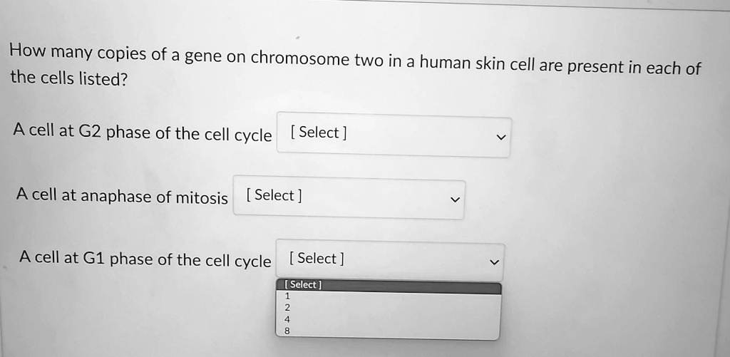 How many copies of a gene on chromosome two in a human skin cell are ...