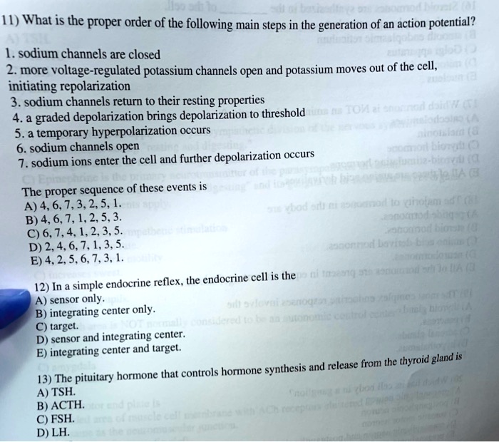 11 what is the proper order of the following main steps in the ...