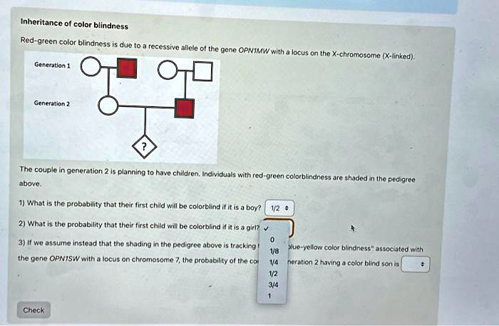 Inheritance of color blindness Red-green color blindness is due to a ...