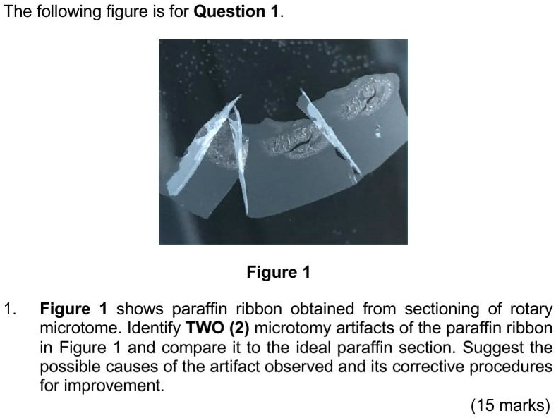 The following figure is for Question 1: Figure 1 The figure shows a ...