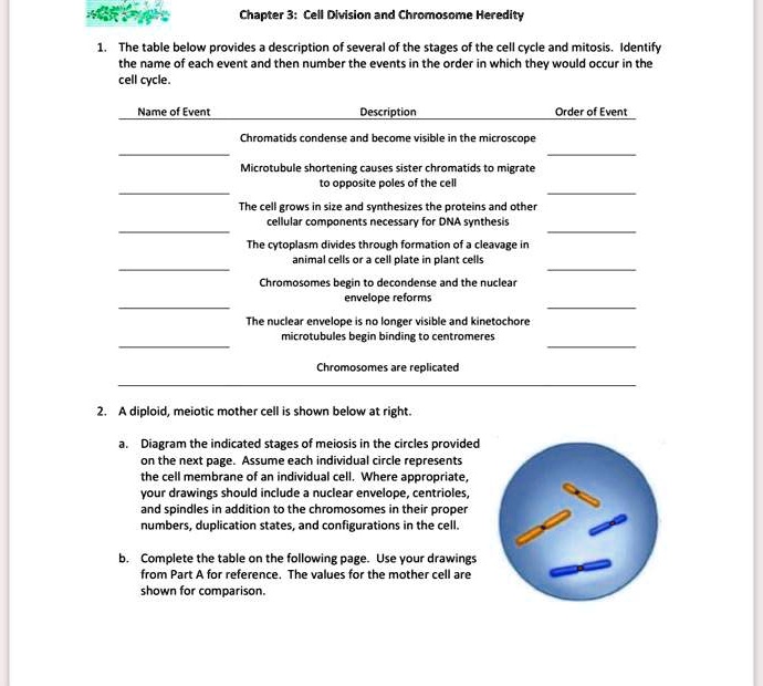Chapter 3: Cell Division and Chromosome Heredity The table below ...