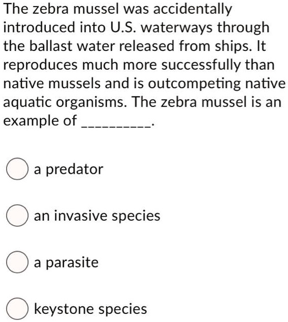 The zebra mussel was accidentally introduced into U.S. waterways ...