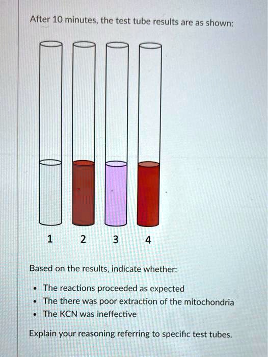 SOLVED:After 10 minutes, the test tube results are as shown: Based on ...