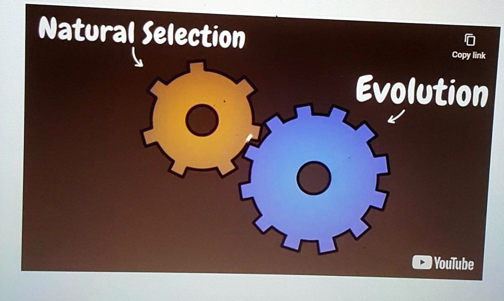 SOLVED: 'The bacteria in the example evolved because of... gene flow ...