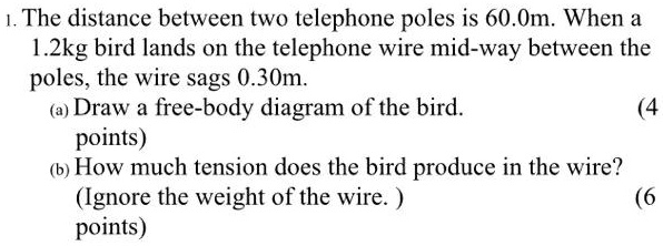 SOLVED: The distance between two telephone poles is 60.0m When a 12kg ...