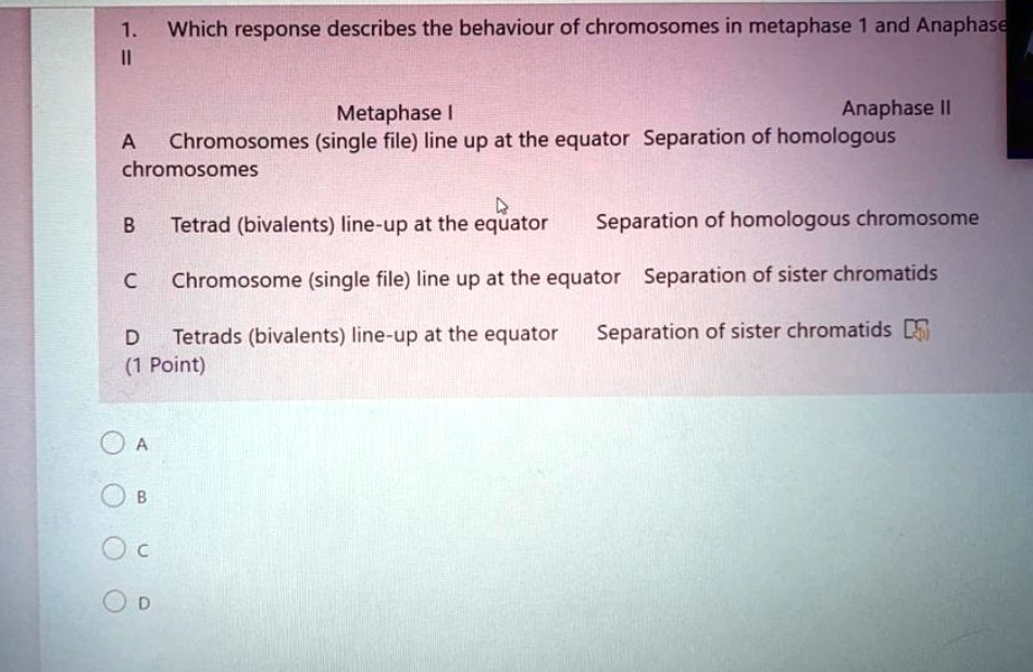 SOLVED: Which response describes the behaviour of chromosomes in ...