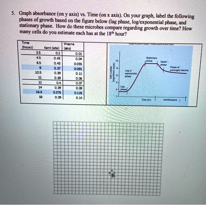 SOLVED: Graph absorbance (on Y axis) vs Time (on X axis). On your graph, label the following ...