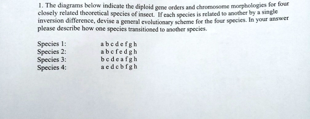 SOLVED: The diagrams below indicate the diploid gene orders and ...