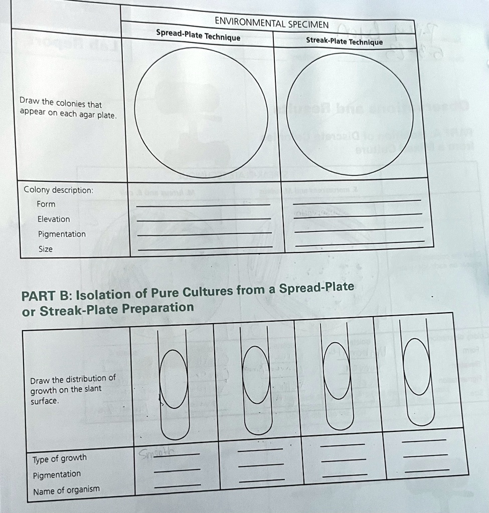 SOLVED: Could you show me how to fill out these charts? ENVIRONMENTAL ...