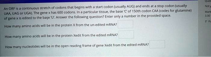 An ORF is a continuous stretch of codons that begins with a start codon ...