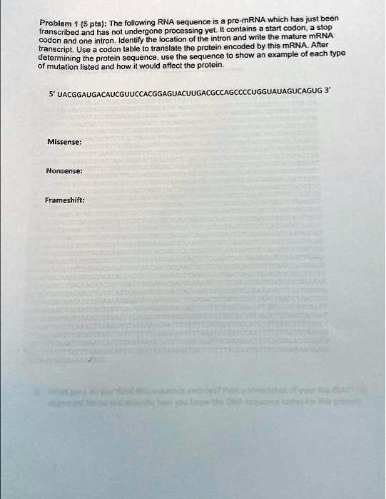 Problem 1 (5 pts): The following RNA sequence is a pre-mRNA which has ...