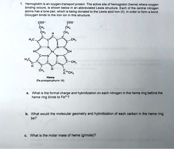 hemoglobin is an oxygen transport protein the active site of hemoglobin ...