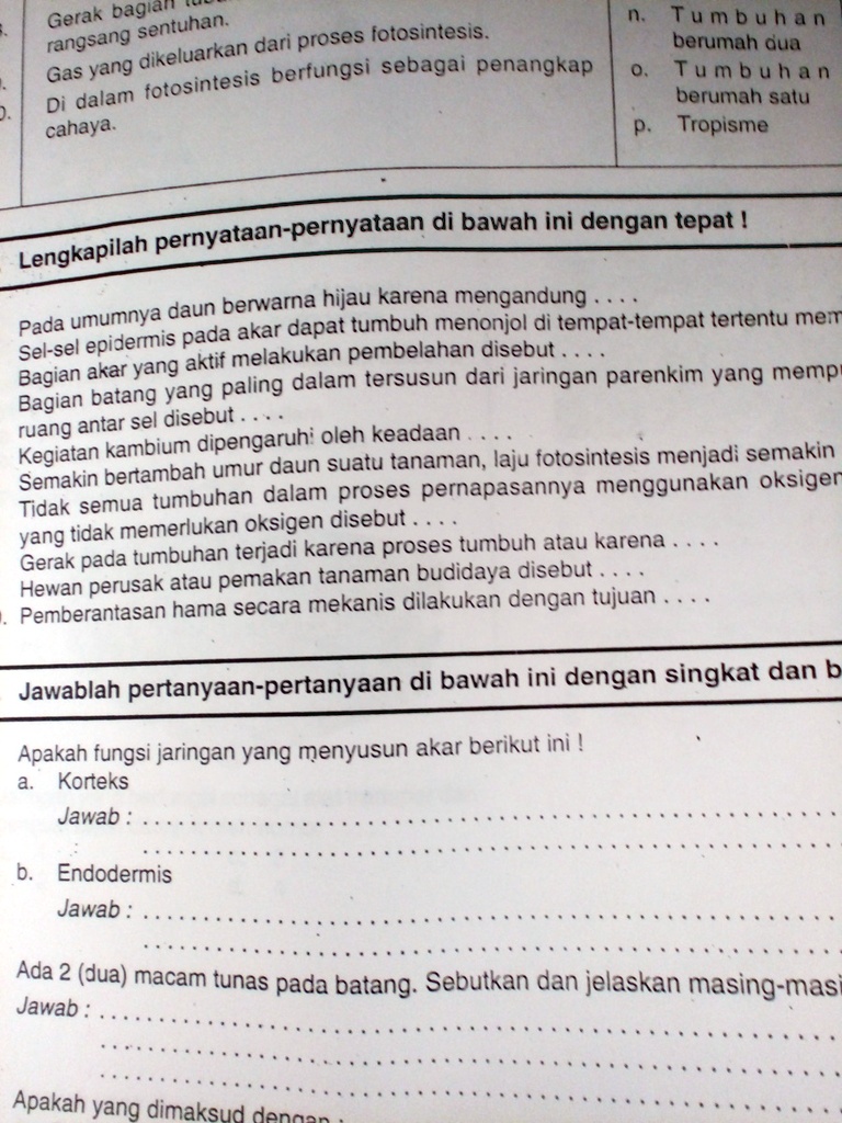 bantuin yang nomor 1 sampai 10 dong geral pagian sentuhan rangsang dari ...