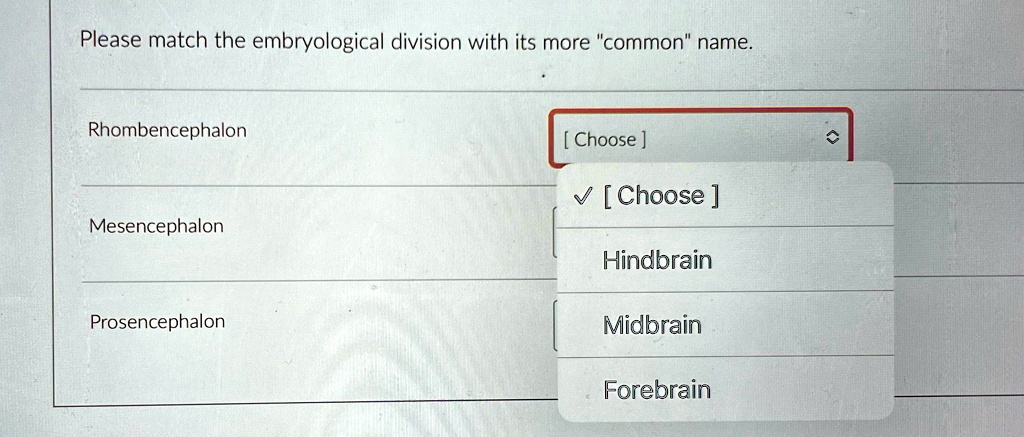 Please match the embryological division with its more "common" name ...