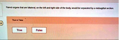 paired organs that are bilateral on the left and right side of the body ...