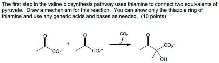 SOLVED: The first step in the valine biosynthesis pathway uses thiamine ...