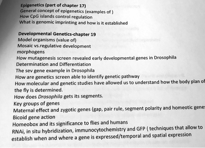 SOLVED: Epigenetics (part of chapter 17) General concept of epigenetics (examples of ) How CpG ...