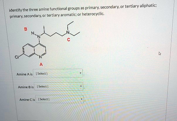 identifythe three amine functional groups as primary secondary or ...