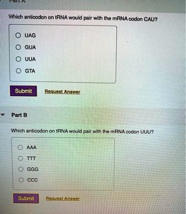 SOLVED: Which anticodon on tRNA would pair with the mRNA codon CAU? UAG ...