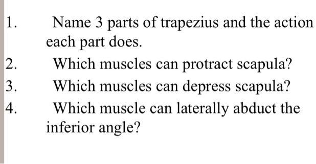 SOLVED: please help yo answer all questions 1. Name 3 parts of ...