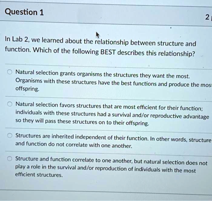 SOLVED Question 1 N 2 N In Lab 2 We Learned About The Relationship Between Structure And solved-question-1-n-2-n-in-lab-2-we-learned-about-the-relationship-between-structure-and
