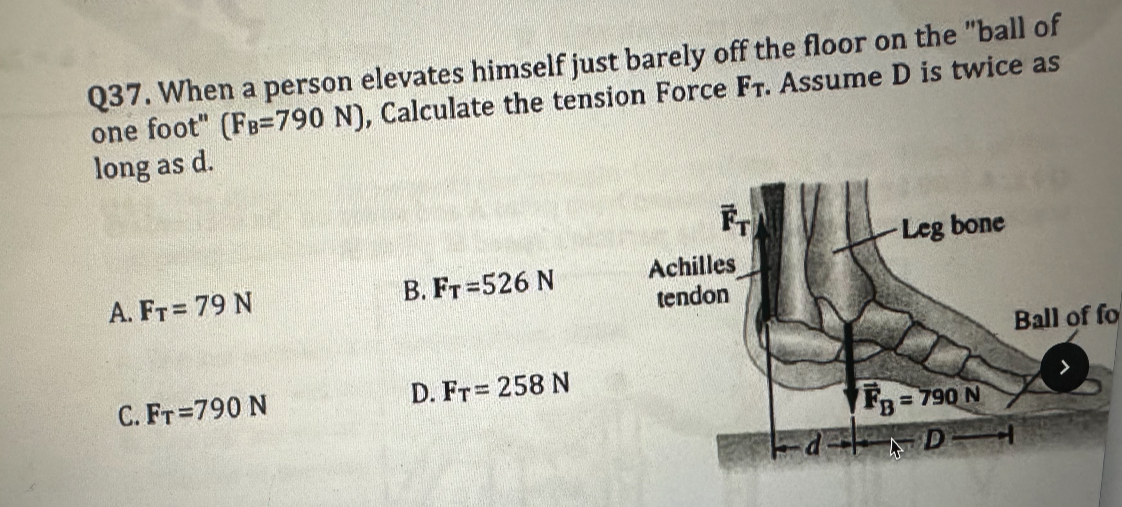 SOLVED: Q37. When a person elevates himself just barely off the floor ...
