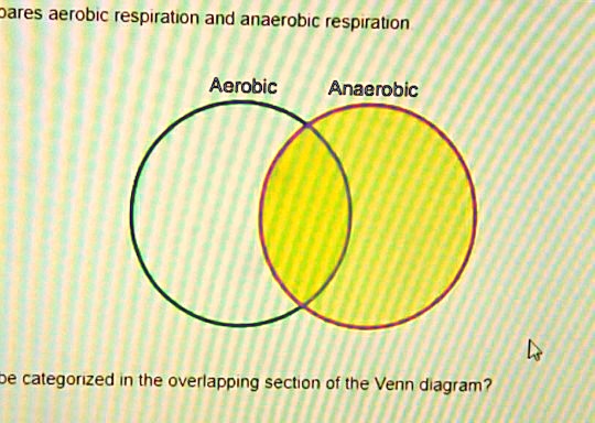 Compares aerobic respiration and anaerobic respiration Aerobic Anaerobic be categorized in the ...