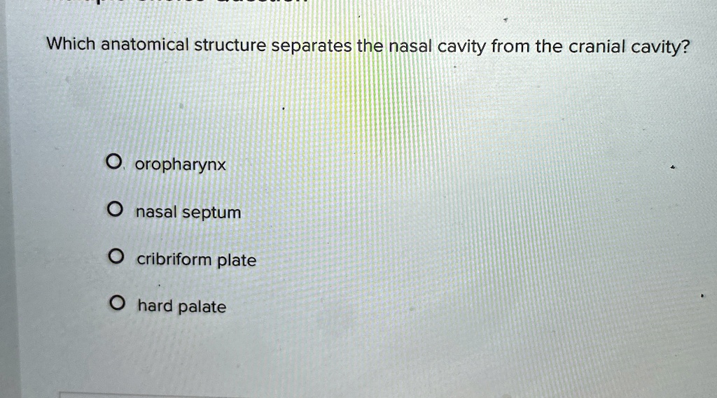 which anatomical structure separates the nasal cavity from the cranial ...