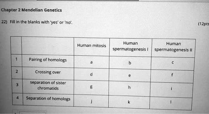 chapter 2 mendelian genetics 22 fill in the blanks with yes or no i2pts ...