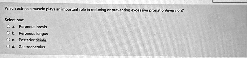 SOLVED: Which extrinsic muscle plays an important role in reducing or ...