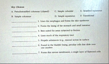 key cboices a pseudostratified columnar clliated c simple cuboidal e ...