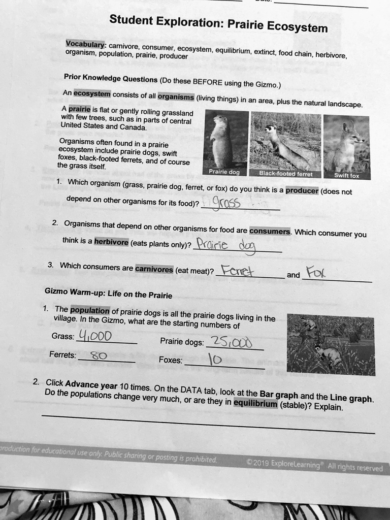 i need the answer key to this please student exploration prairie ...