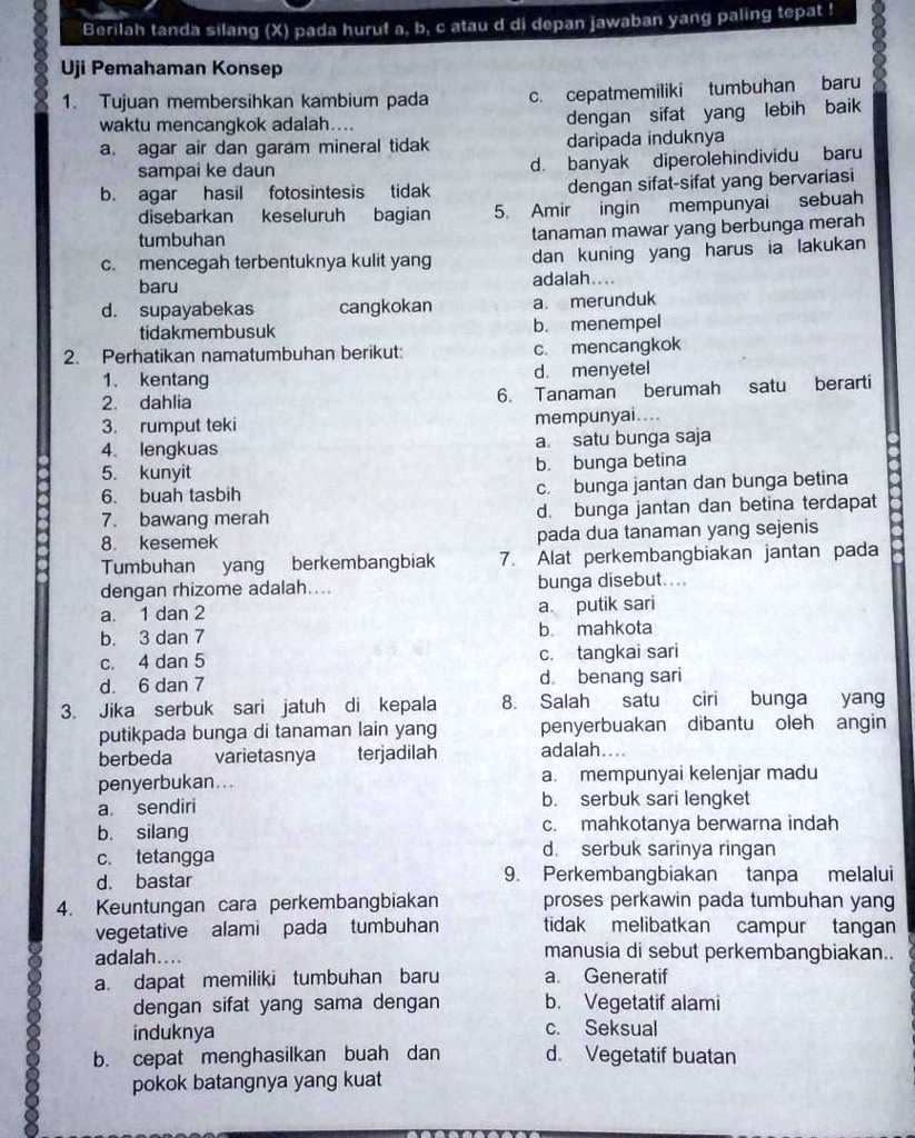 SOLVED: bantuin tugas sekolah ku Berilah tanda silang (X) pada hurut a ...