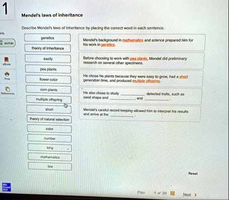 mendels laws of inheritance describe mendels laws of inheritance by ...