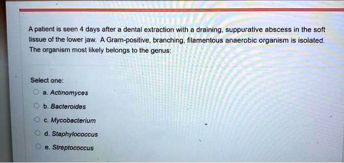 SOLVED: A patient is seen days after dental extraction with a draining ...