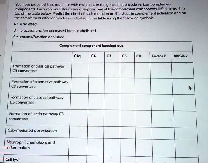you have prepared knockout mice with mutations in the genes that encode various complement ...