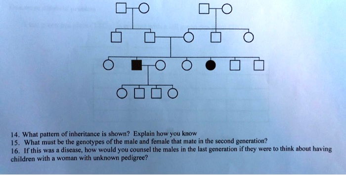 what pattern of inheritance is shown explain how you know what must be ...