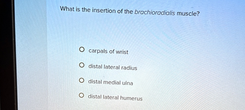 What is the insertion of the brachioradialis muscle? O carpals of wrist ...