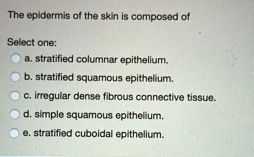 the epidermis of the skin is composed of select one a stratified ...