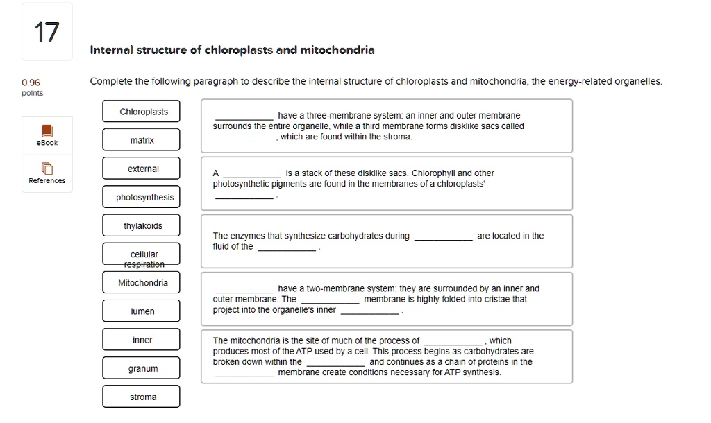 17 Internal structure of chloroplasts and mitochondria Complete the ...